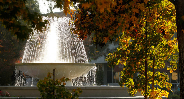 California State University, Fresno